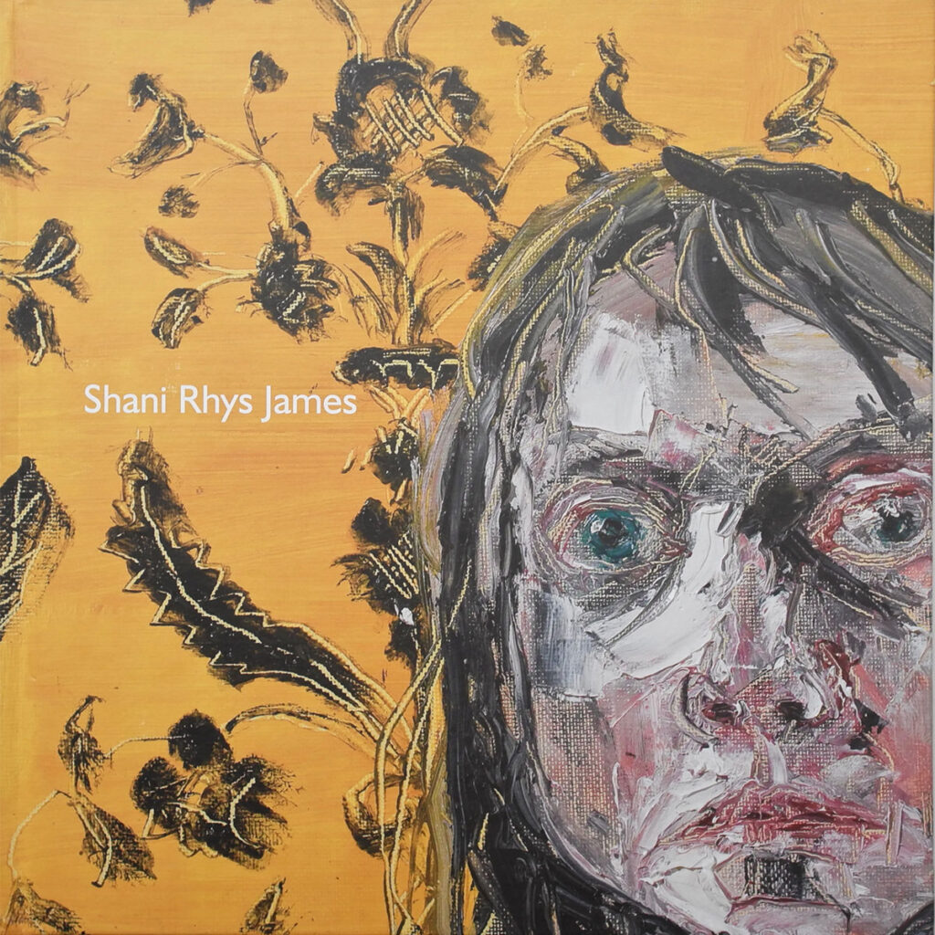 Shani Rhys James: Selected Paintings, 2010 - Hillsboro Fine Art